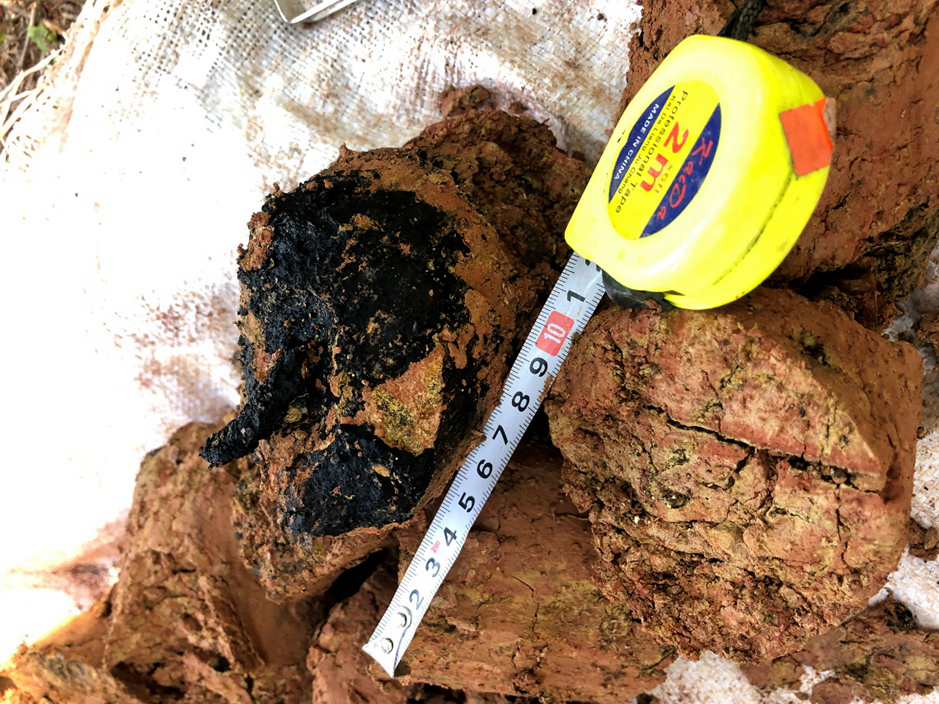 地质足迹印山川丨陈国林：投身寻找钴矿的“先锋” - 地质风采 - 福建地矿网